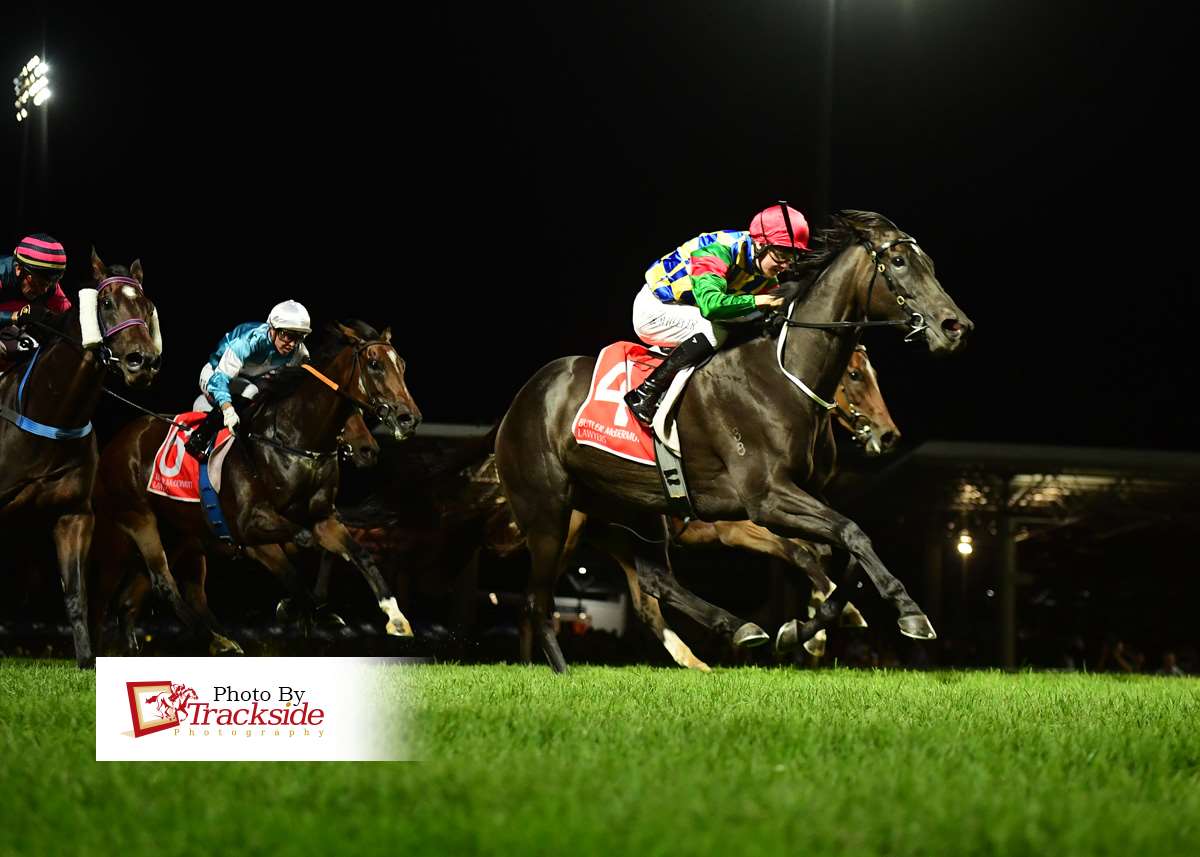 Kendrick Racing News - Kendrick Racing Stables