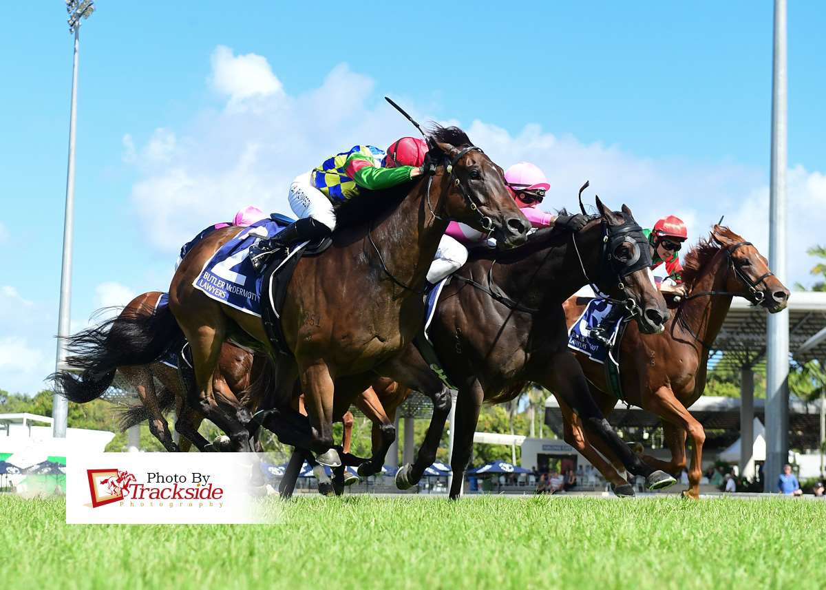 Home Page - Kendrick Racing Stables