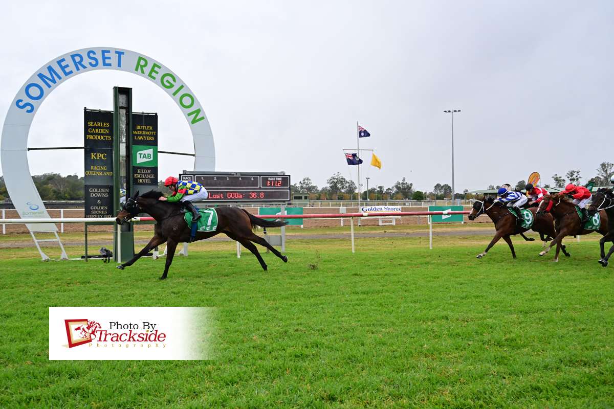 Home Page - Kendrick Racing Stables