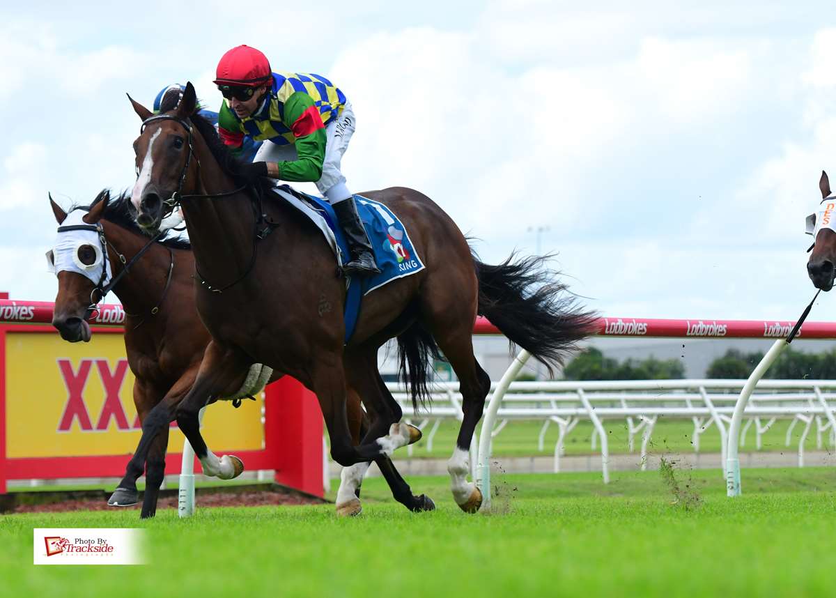 Kendrick Racing News - Kendrick Racing Stables