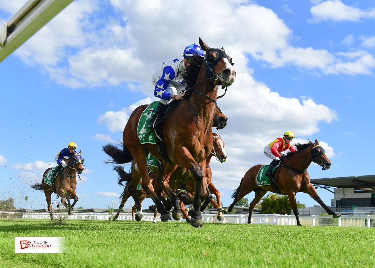 Home Page - Kendrick Racing Stables