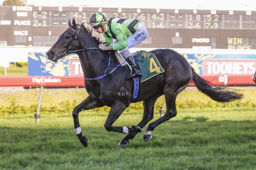 Home - Marcus Wilson Racing