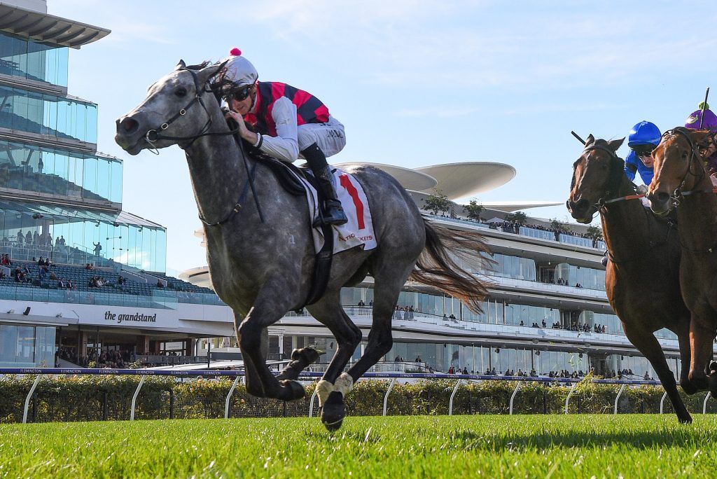 Home - Griffiths de Kock Racing