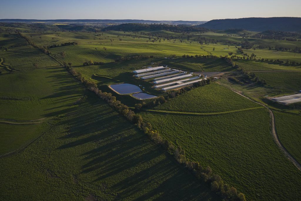 Windridge Farms - An Australian Mixed Farming Enterprise