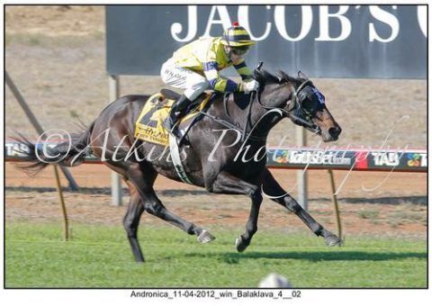 Andronica The Victor! - Minervini Racing