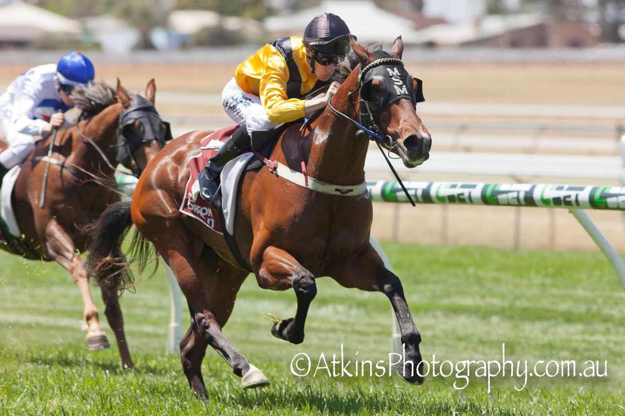 Millie Is A Force - Minervini Racing