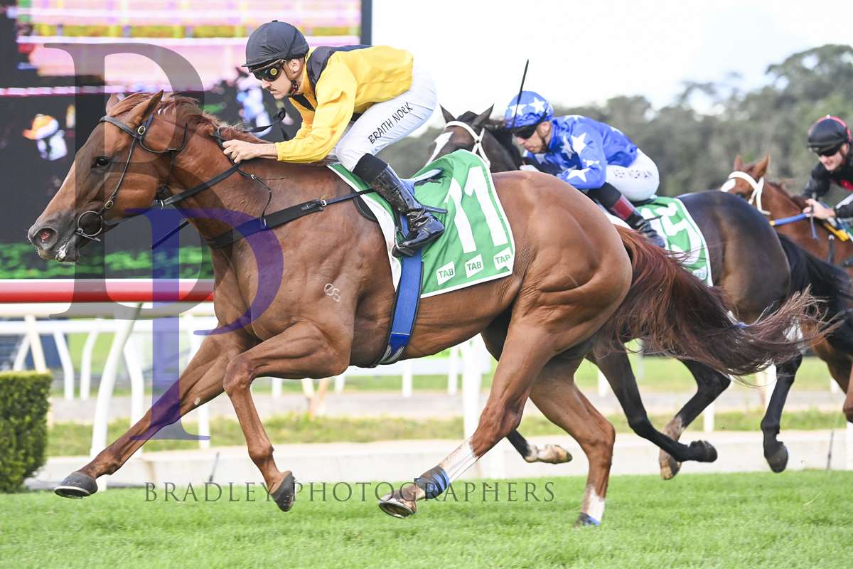 No Nock on Smiles - Minervini Racing