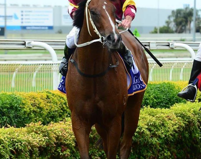 Photo Gallery - Curtis Racing Stables