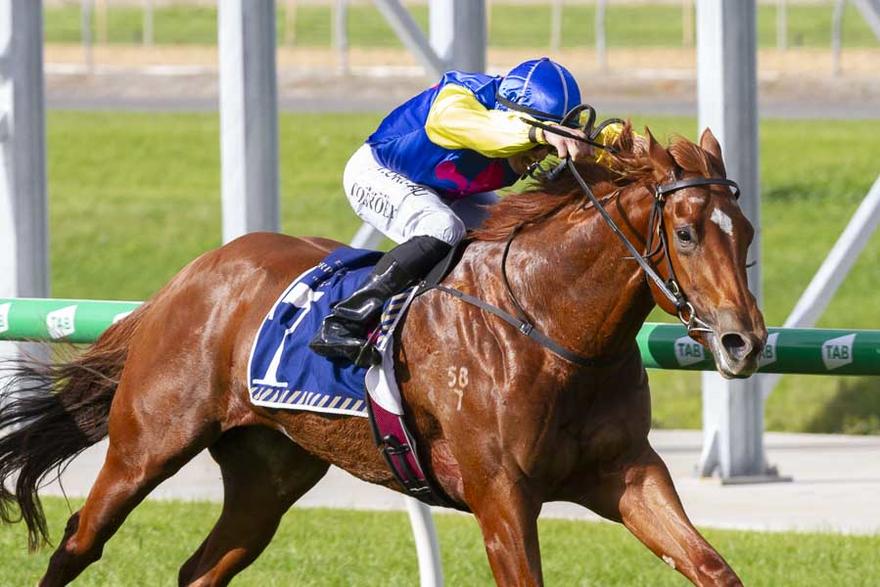 Home - Richard Jolly Racing