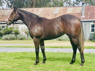 Home - Richard Jolly Racing