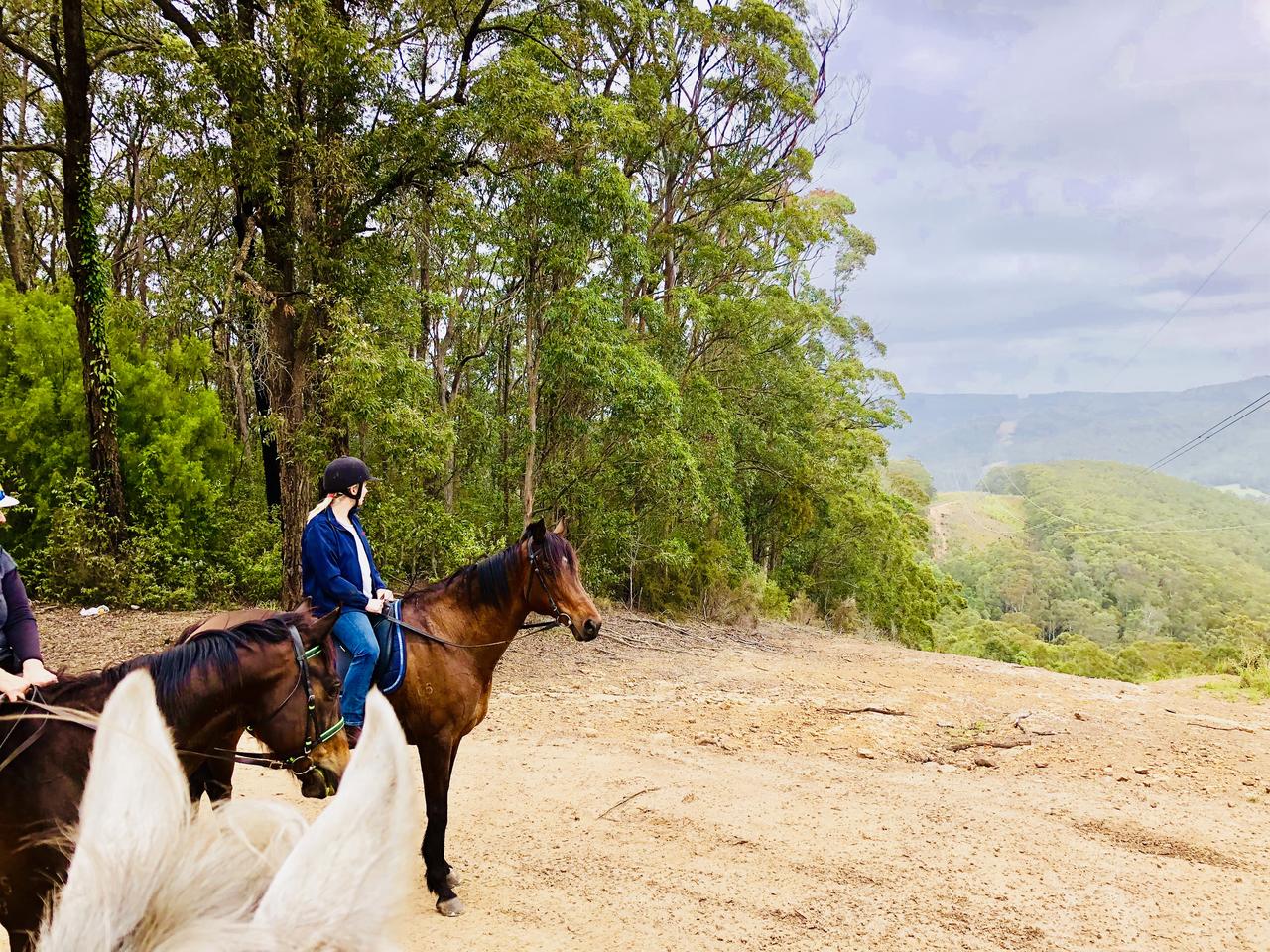Off the Track Horses Enjoying Life at Mahtoum Lodge! - Kim Waugh Racing ...