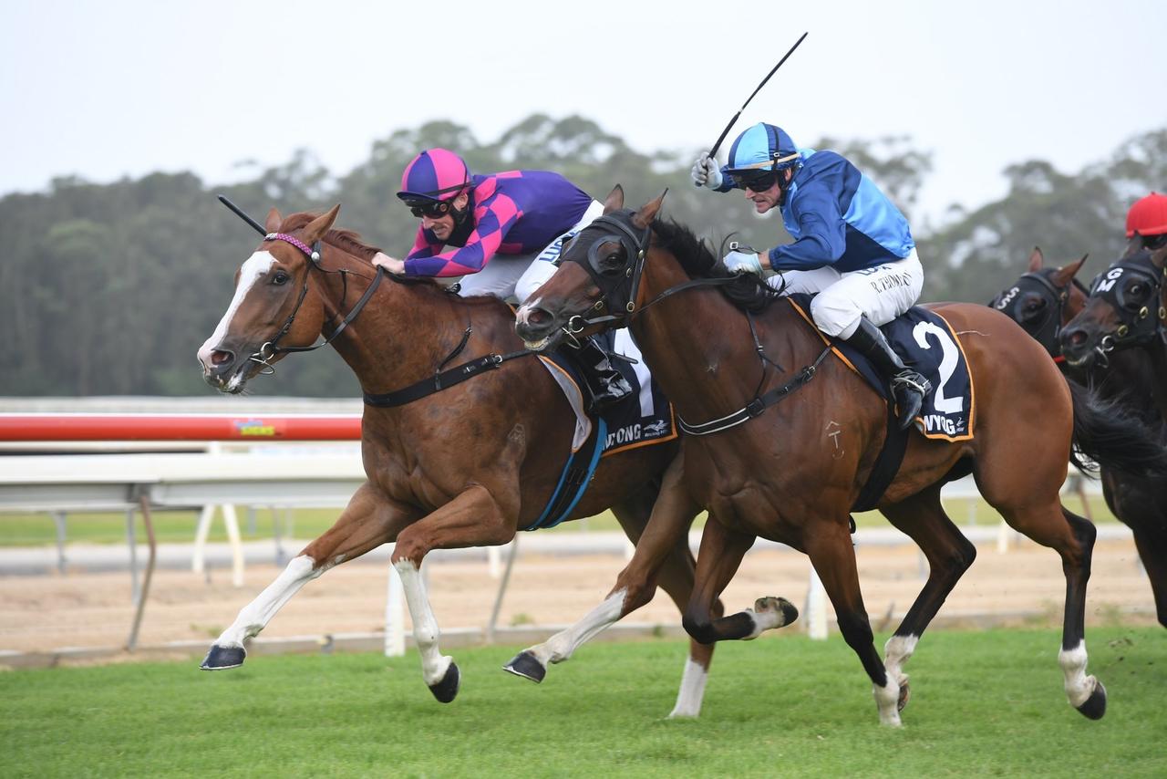 Great Winning Day Out at Wyong on Tuesday! - Kim Waugh Racing Stables