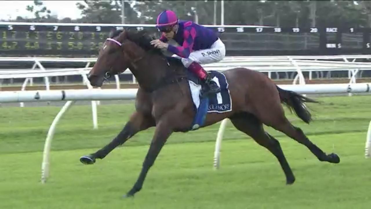 3 Runners for the Stable at Warwick Farm on Wednesday! - Kim Waugh ...