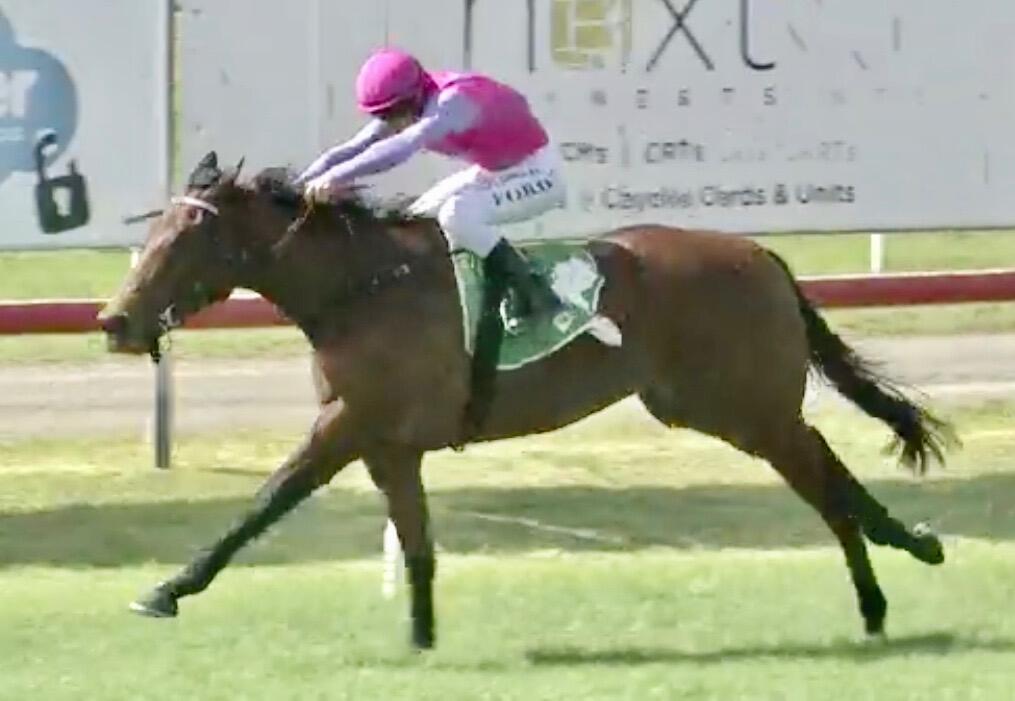 Princess Betty Wins by 3 Lengths at Newcastle on Saturday! - Kim Waugh ...