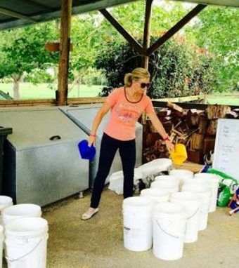 Wyong - Kim Waugh Racing Stables