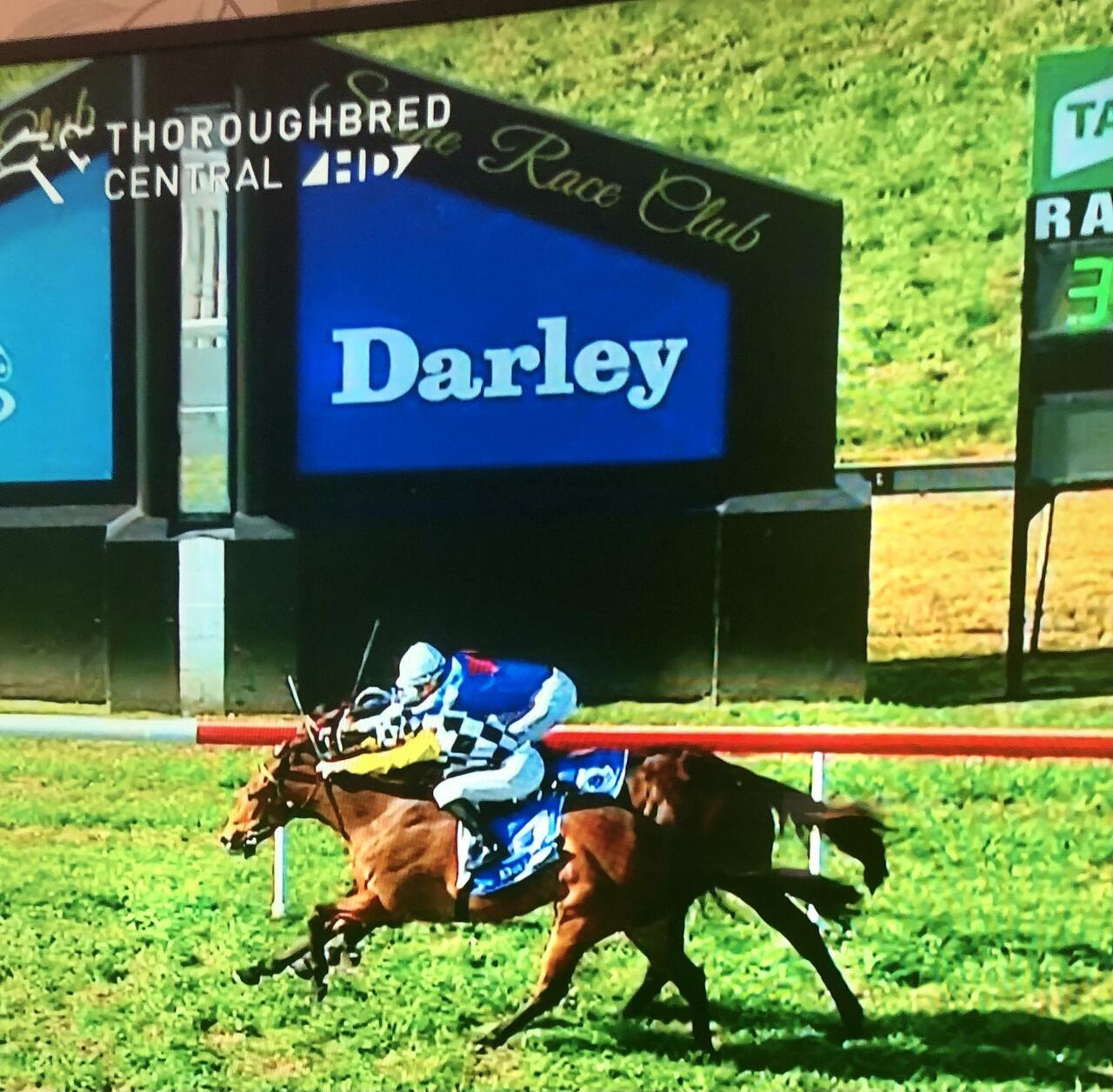 Save Your Kisses Scores Tenacious Win on Debut! - Kim Waugh Racing Stables