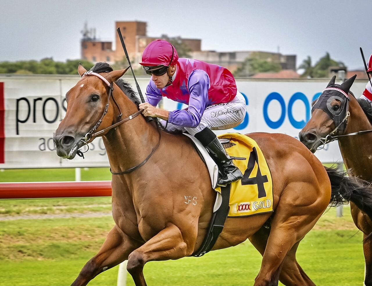 Promising Star Turn 3yo Makes it 3 wins from 6 starts on the Weekend ...