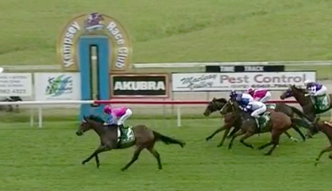 Foolish wins at Kempsey on Tuesday! - Kim Waugh Racing Stables
