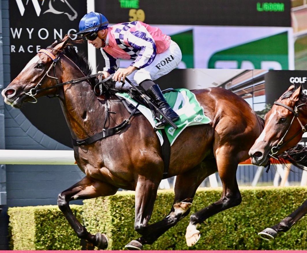 NEW STABLE RUNNER SALUTES AT FIRST START FOR THE TEAM! - Kim Waugh ...