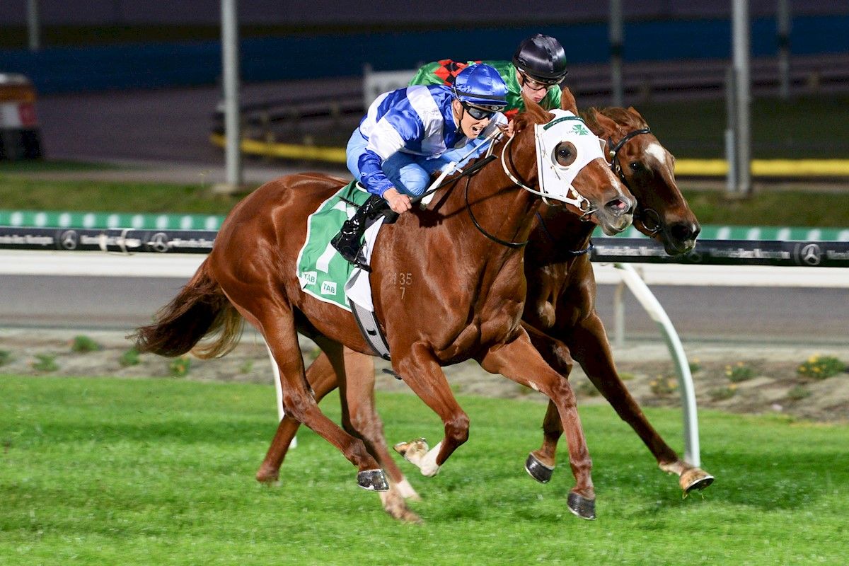 The Laming Yard Continues To Chalk Up Winners Through More Difficult ...