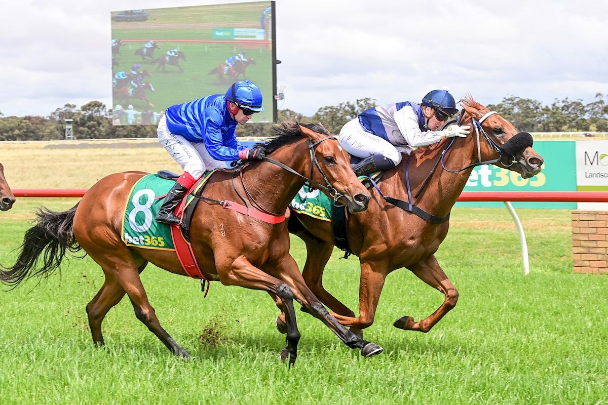 Mitch Freedman Racing