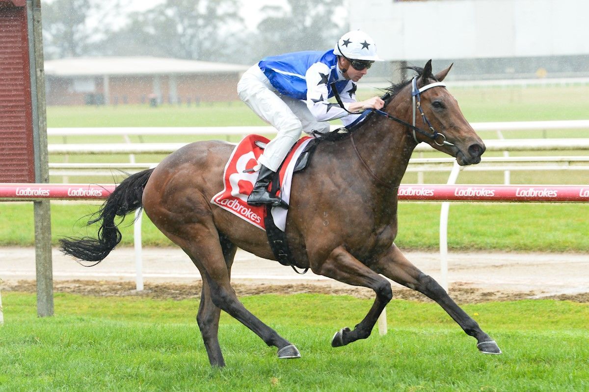 Moe Maiden for Jennyanydots - Mitch Freedman Racing